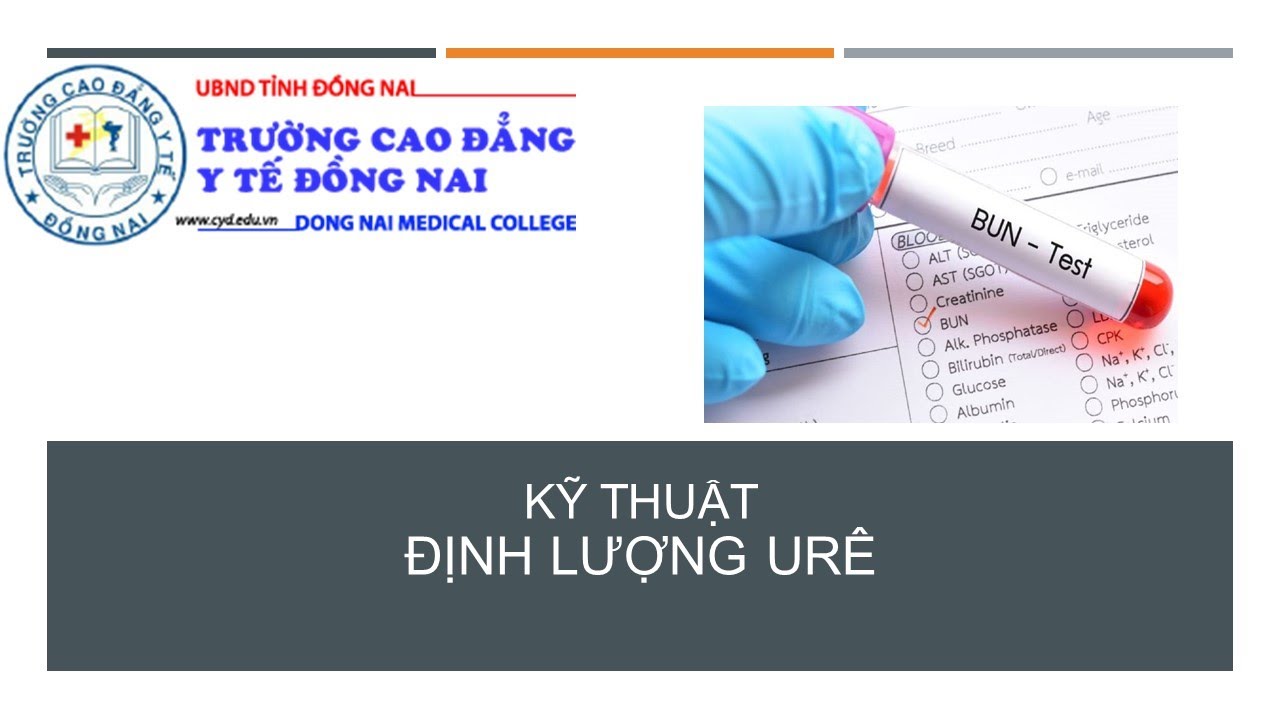 THỰC HÀNH - ĐỊNH LƯỢNG URE / CHỨC NĂNG THẬN / SUY THẬN - YouTube