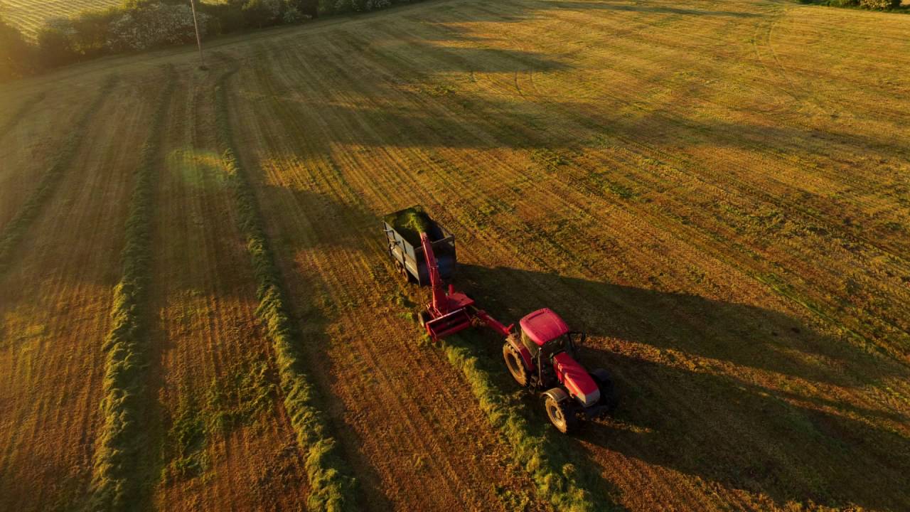 Silage 2K16 | Raking & Lifting - YouTube