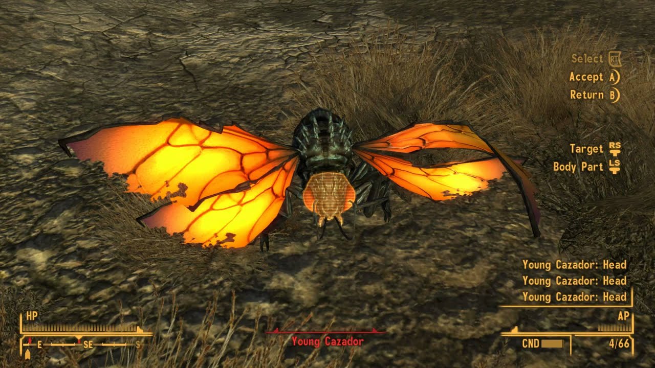 Fallout New Vegas #16 - The Cazadore Nest - YouTube