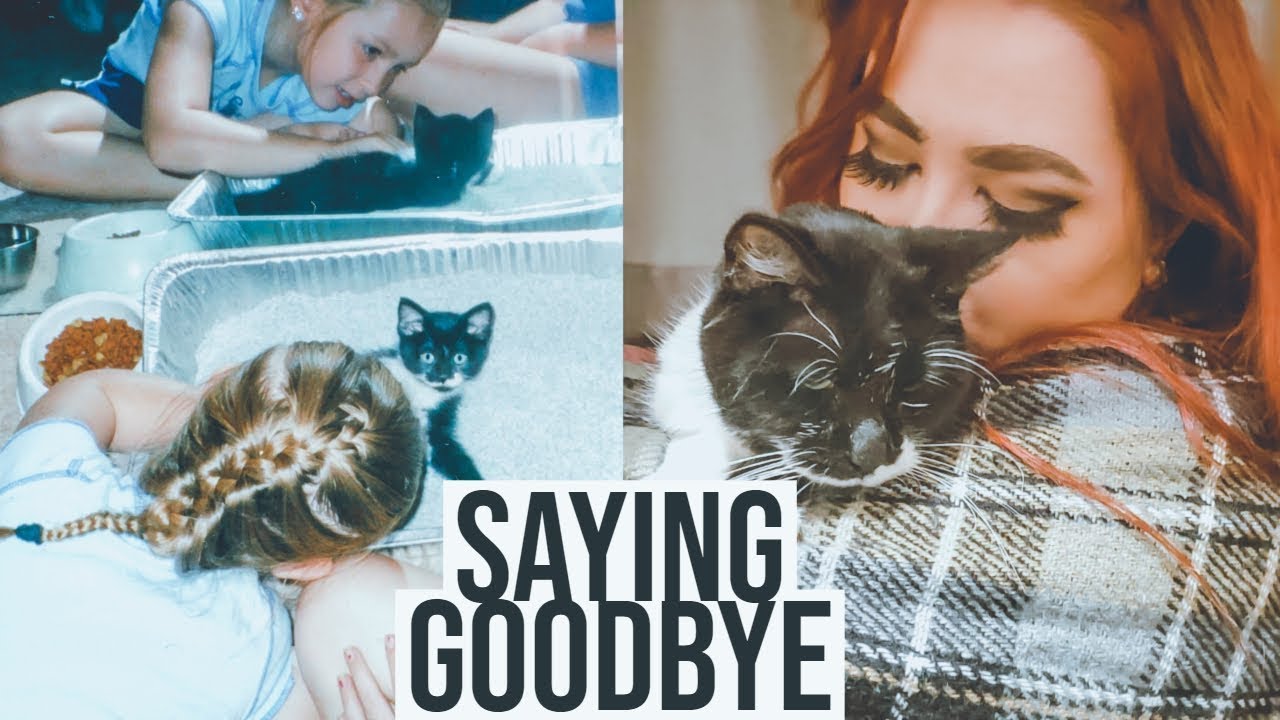 Saying Goodbye To My Cat - YouTube