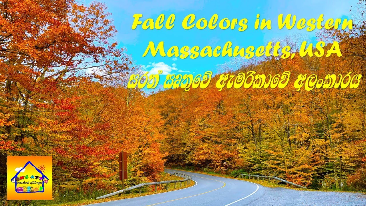 Fall Colors in Western Massachusetts, USA (සරත් සෘතුවේ ඇමරිකාවේ ...