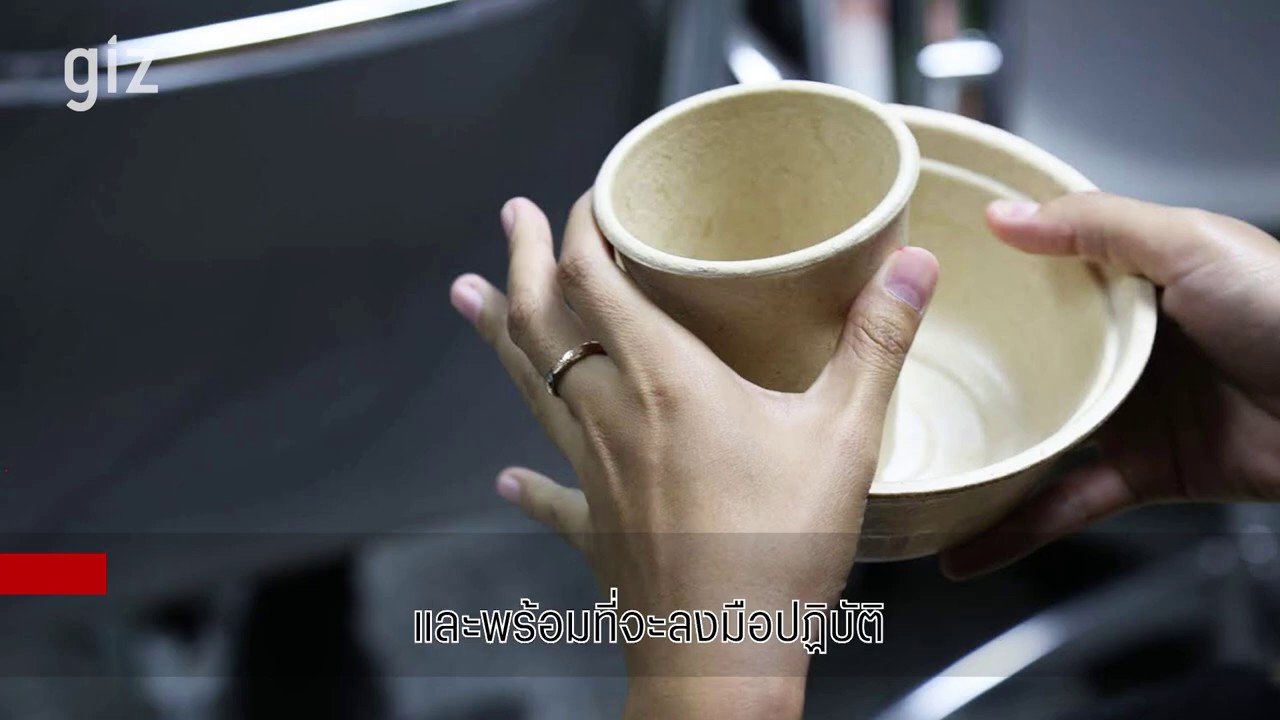 CSH Thailand: Special interview with Tim Mahler (TH Subtitle) - YouTube