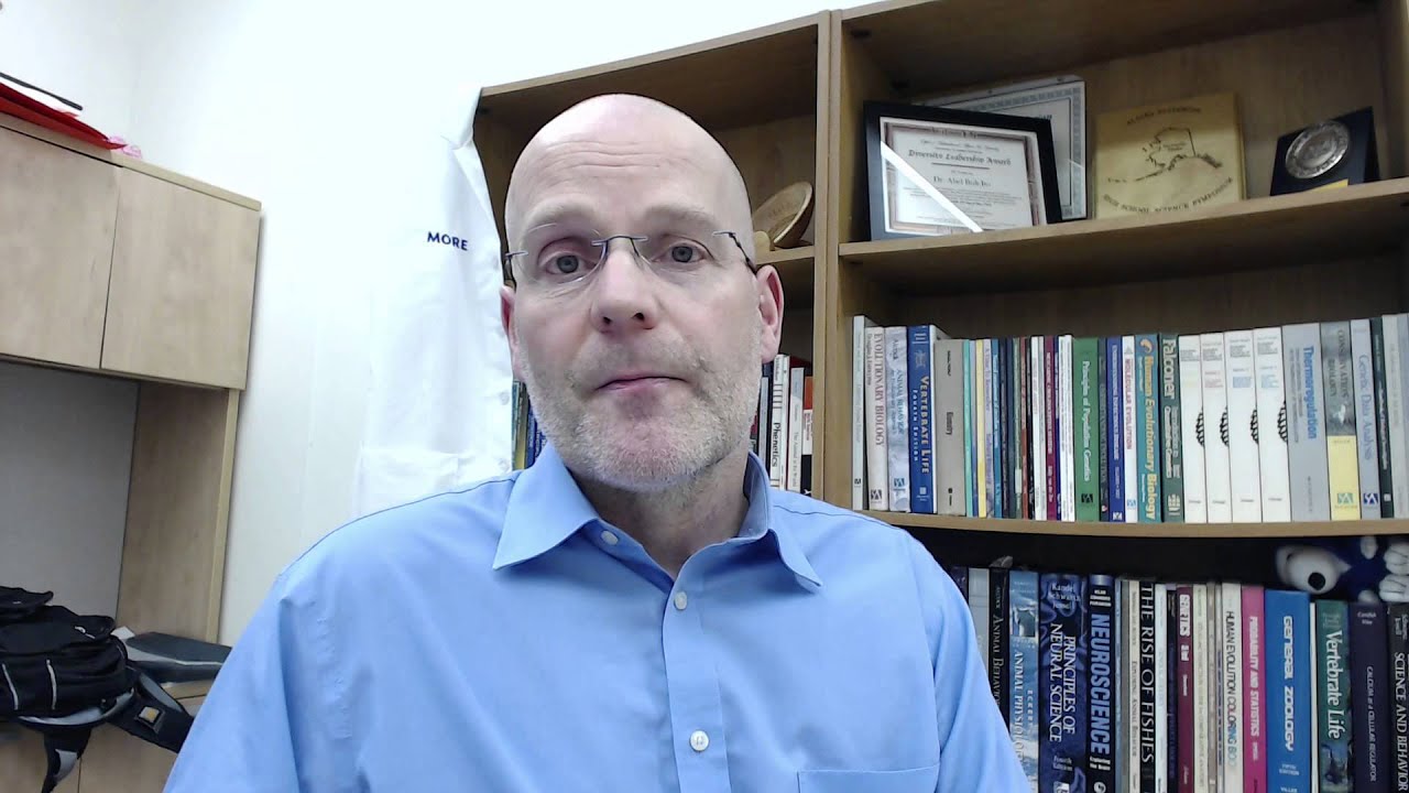 Module 9.5 – Treatments and Drugs for Bipolar Disorder in Humans - YouTube