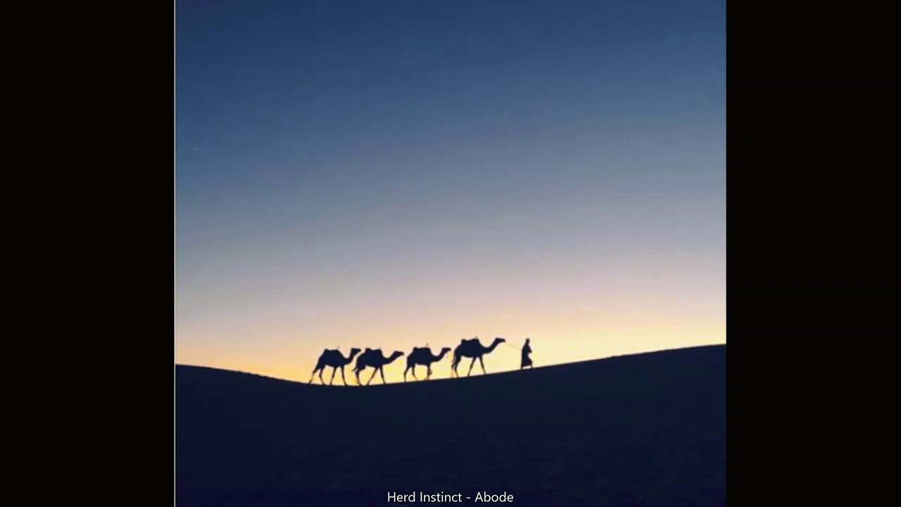 Herd Instinct - Abode - YouTube