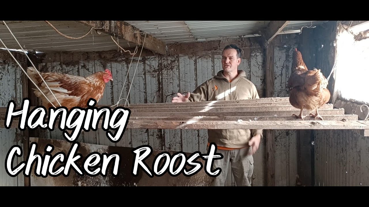 Hanging Chicken Roost - YouTube