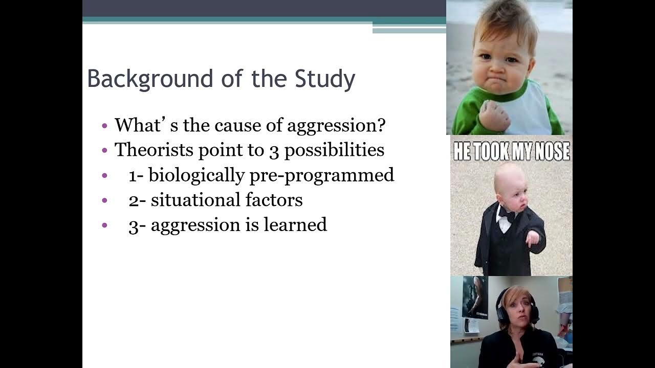 AICE / Cambridge Psychology Bandura et al core study! - YouTube