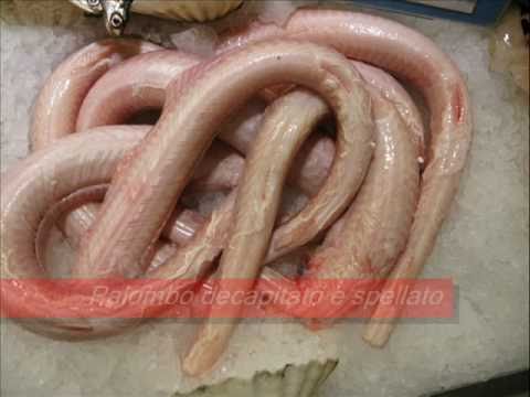 Il Palombo è uno squalo?.wmv - YouTube
