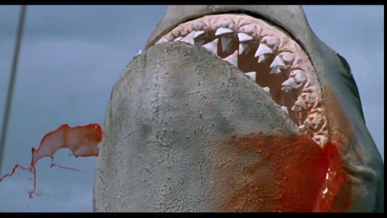 Jaws: The Revenge (1987): Bloody Sunday - YouTube
