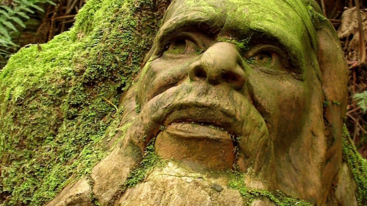 The Corroboree Tree - English subtitles - YouTube