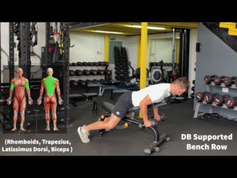 DB Supported Bench Row - YouTube