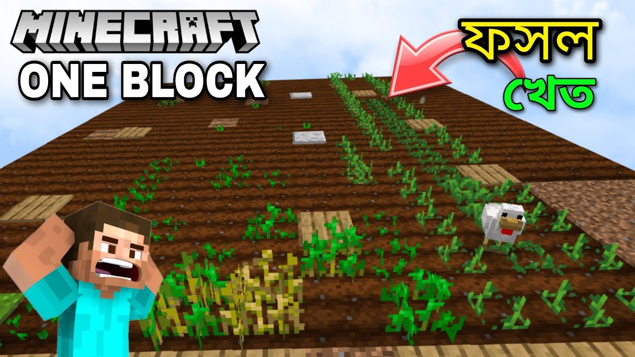 MINECRAFT ONE BLOCK FRAM MACK IN MC GAMING BD - YouTube
