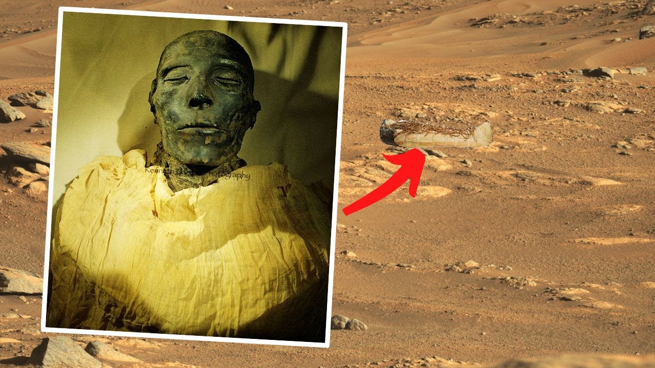 Perseverance : Mars rover Spotted Mummy Fossil on Mars - YouTube