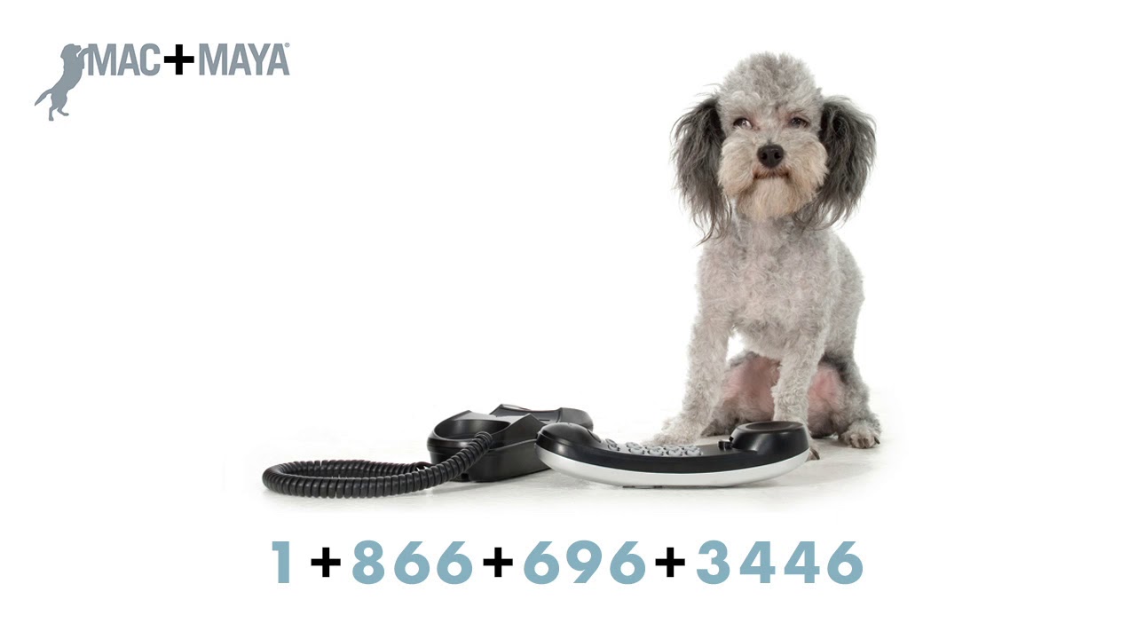 Mac+Maya+Customer Service - YouTube