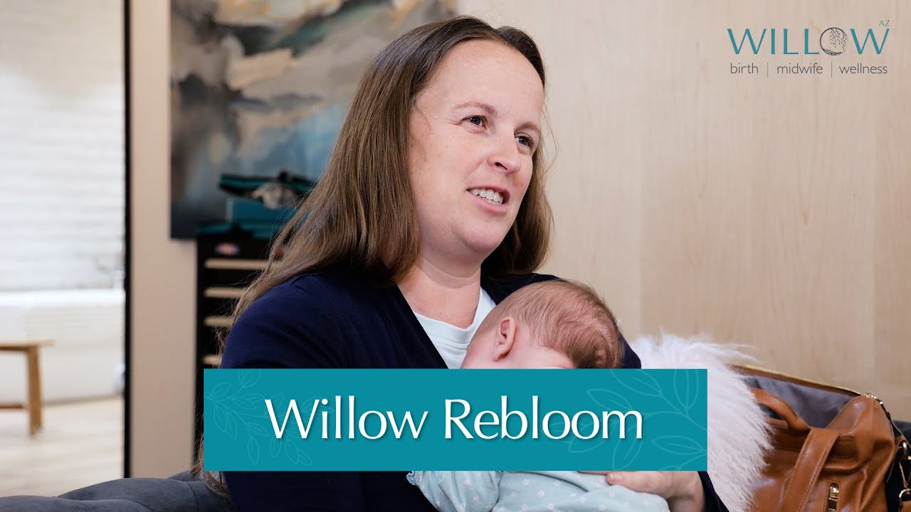 Introducing: Willow Rebloom 💙 - YouTube