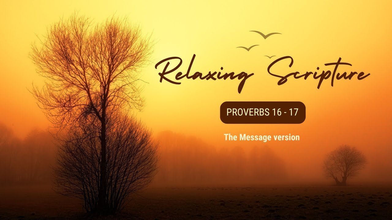 Proverbs 16 - 17 (The Message) - YouTube
