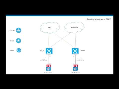 Viptela (Cisco SD WAN) Lan routing with ospf - YouTube