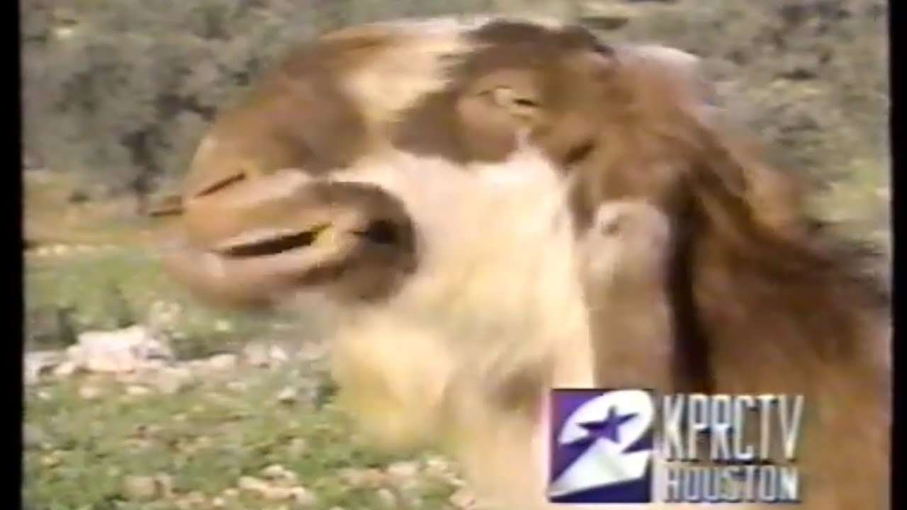 VHS blank tape: NBC/KPRCTV 2 Houston commercials and promos Feb 26-27 ...