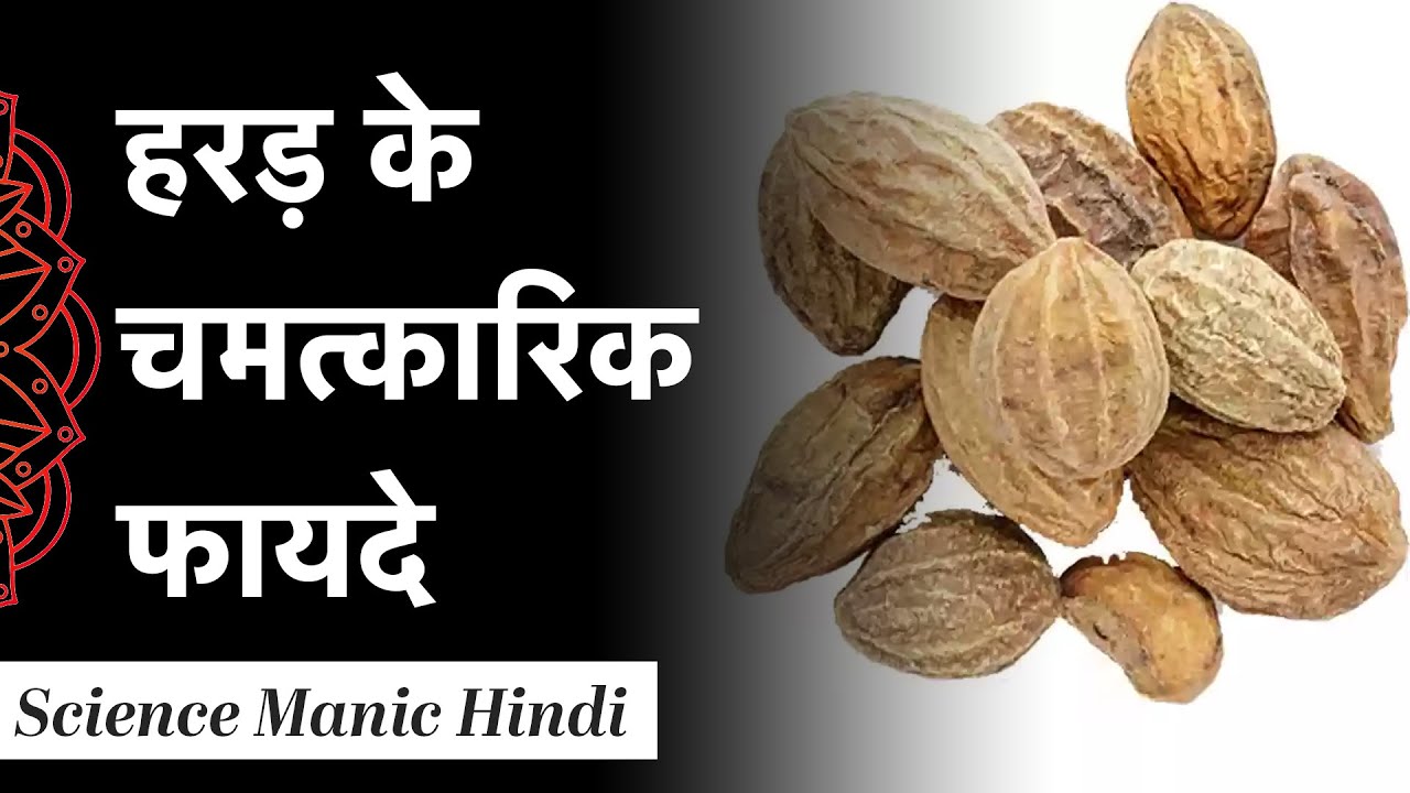 हरड़ के चमत्कारिक फायदे | Harad Countless Benefits | Myrobalan | हरीतकी ...