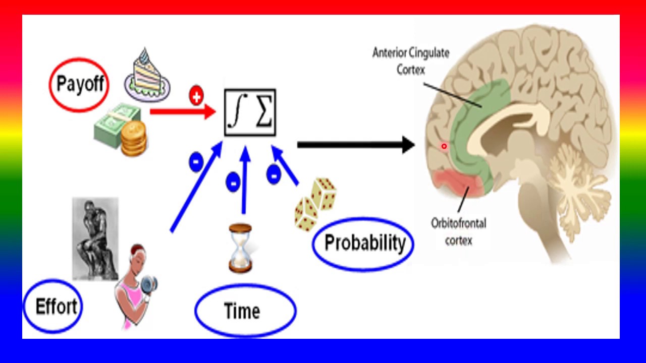 NEUROPHYSIOLOGY OF LEARNING - speech - YouTube
