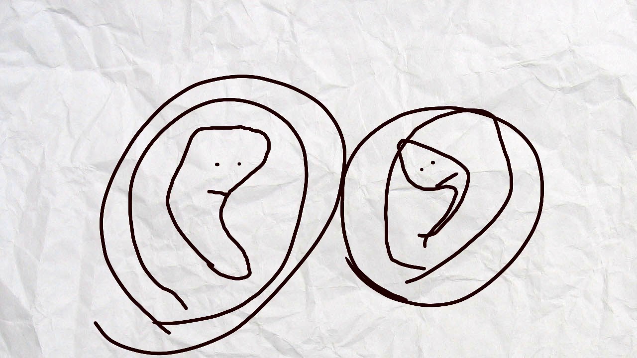 poooooooooooooooooooooooooooooooooooooo - YouTube