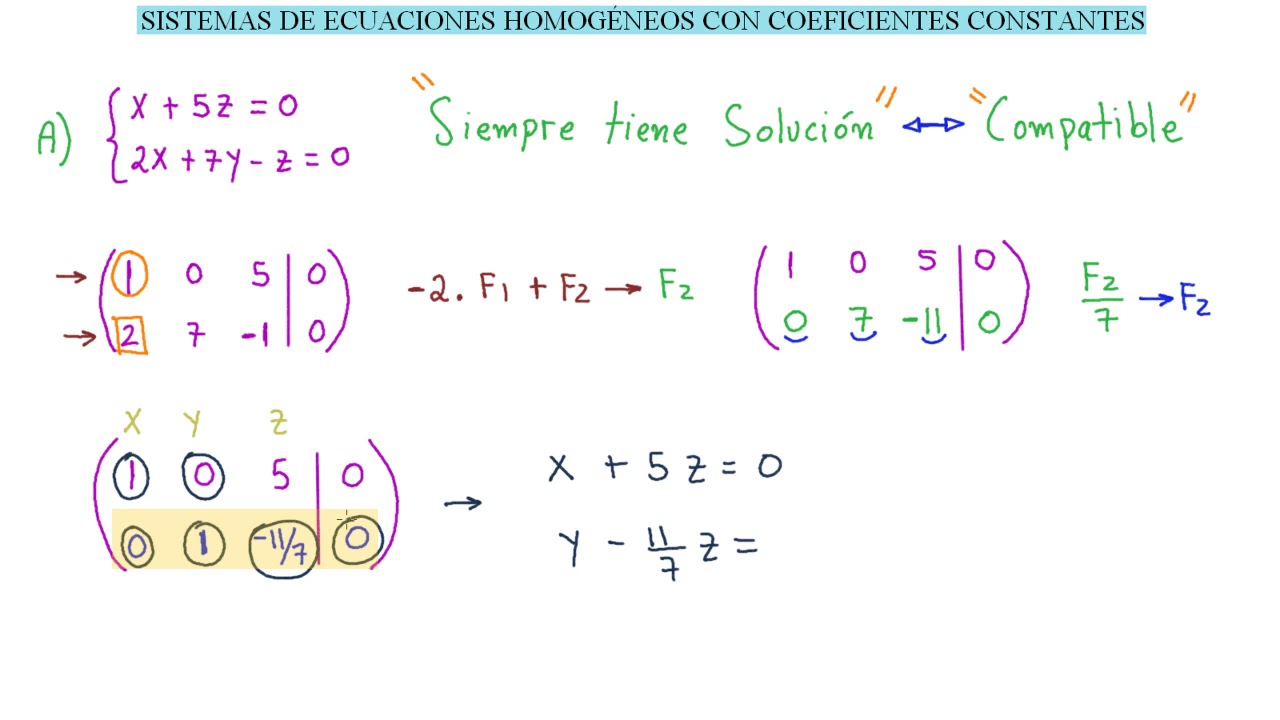 MATRICES. SISTEMAS HOMOGÉNEOS. PRIMER EJERCICIO RESUELTO. LECCIÓN 4 [👍 ...