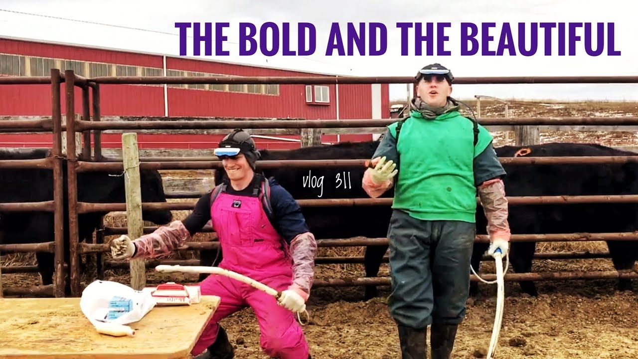 THE BOLD AND THE BEAUTIFUL vlog 311 - YouTube