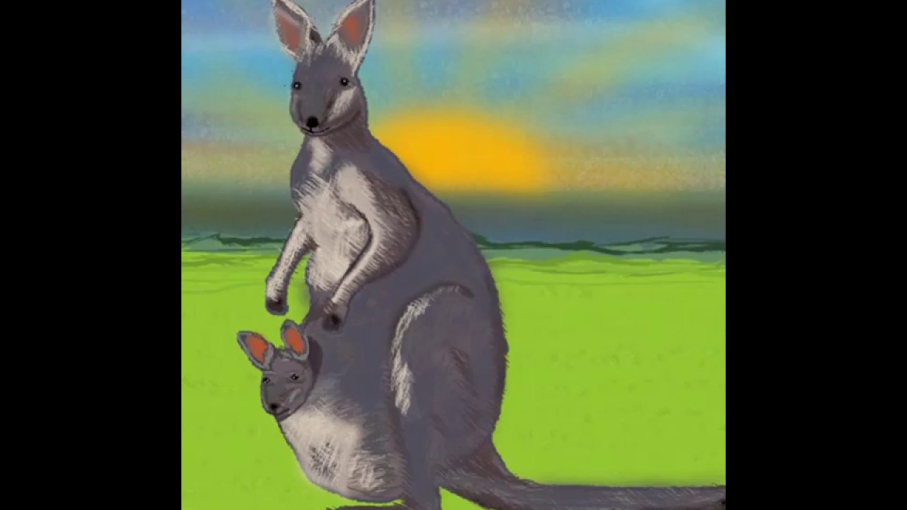 Kangaroo - YouTube