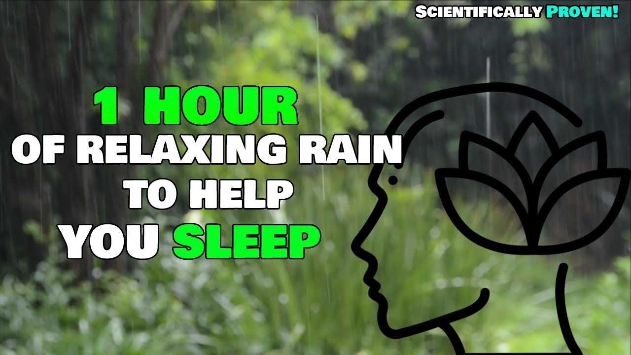 Relaxing Rain Sounds to Fall Asleep to (1 HOUR) #asmr #rain #sleep ...