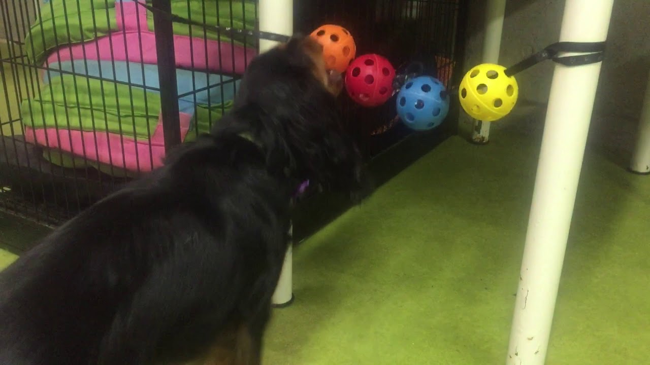 Suspended Puzzle: hollee balls - YouTube