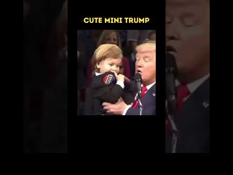 Mini Trump #trump #trumpelection #trumpfamily #electionmemes #election ...