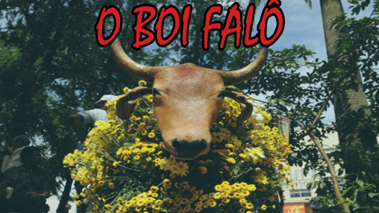A Lenda do Boi Falô Historia do Folclore Brasileiro - YouTube