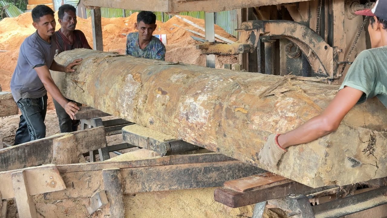 The Journey to Mastery of Hardwood Sawing and Cutting Techniques - YouTube