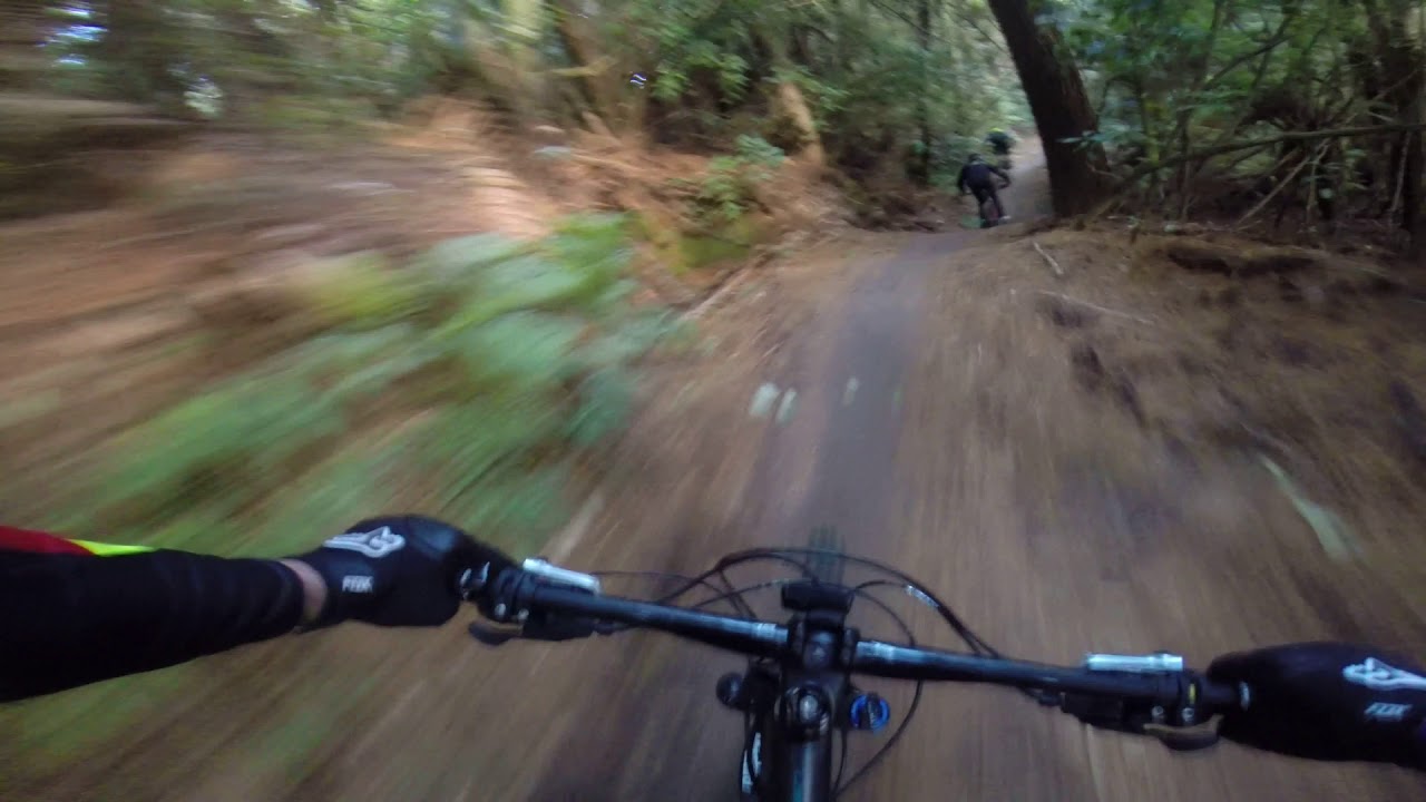Rotorua Redwoods MTB Trail - Huckleberry Hound - YouTube