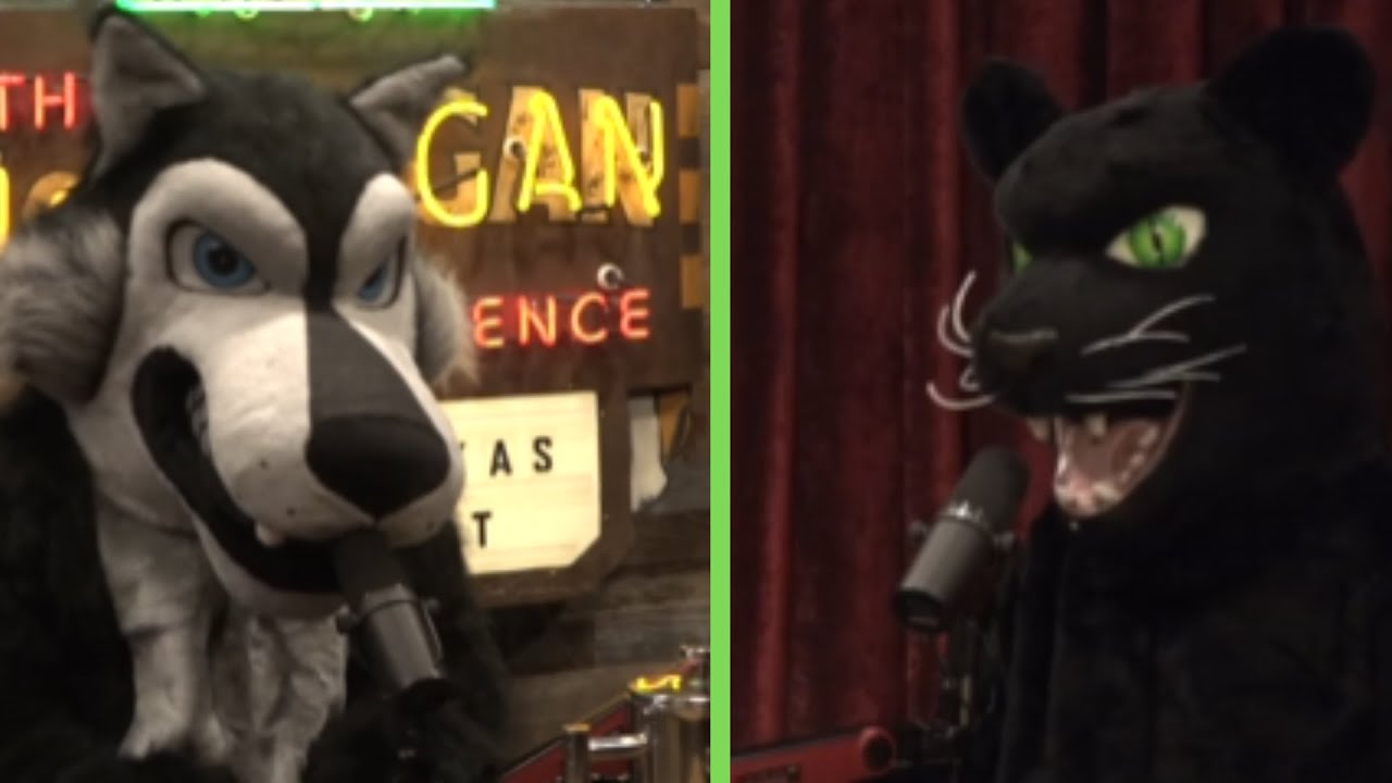 Joe Rogan & Duncan Trussell Dressed Up As Furries! | Joe Rogan ...