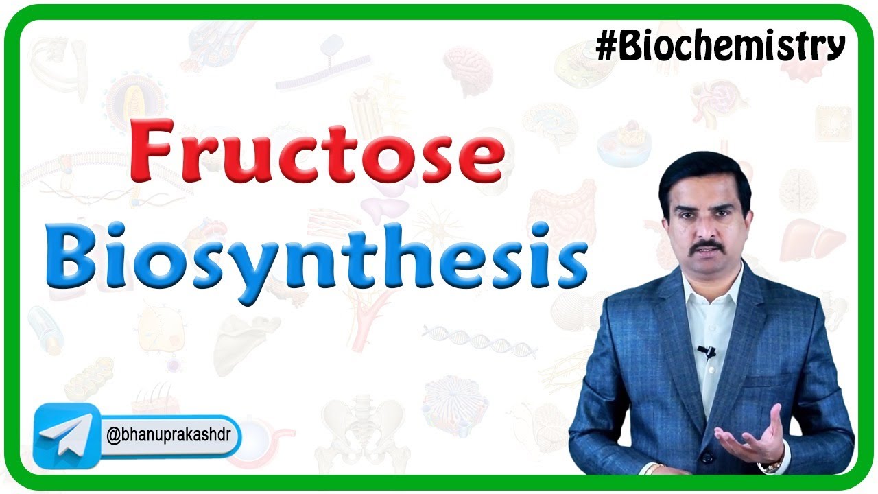 Fructose Biosynthesis : Medical Biochemistry - Dr G Bhanu Prakash - YouTube