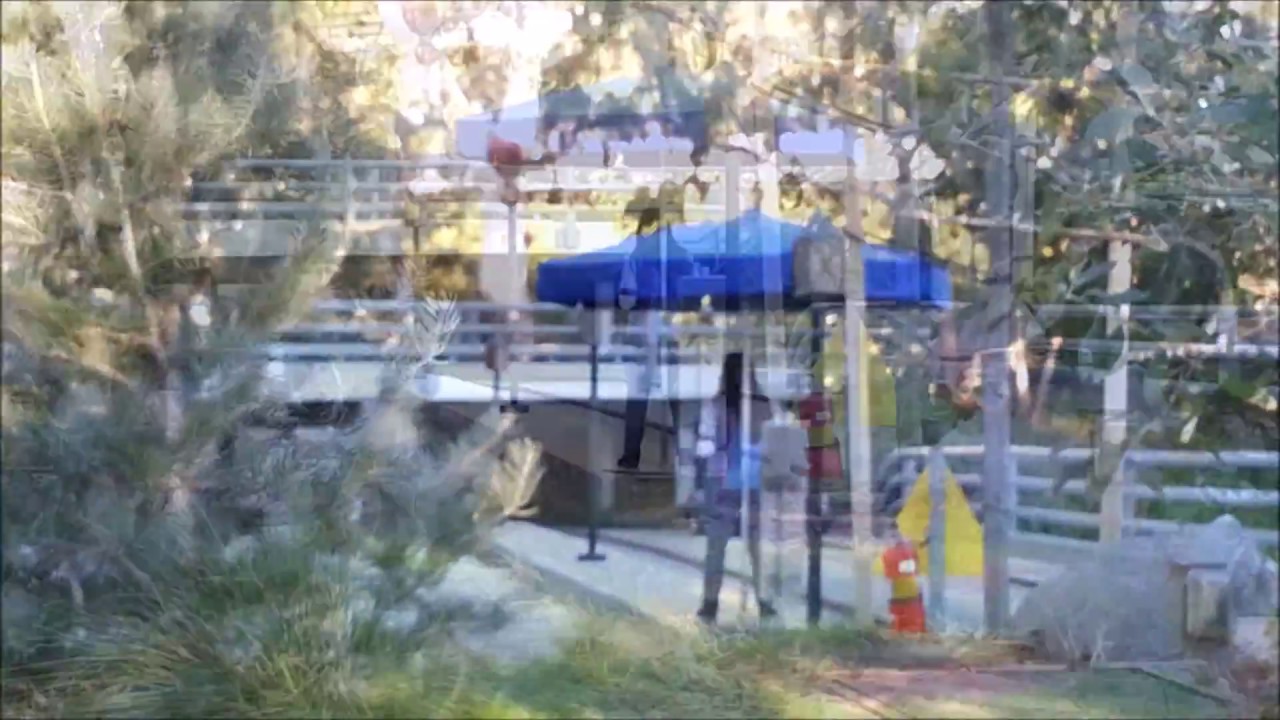 Relics II - Disneyland's Junior Autopia (Fantasyland) - YouTube
