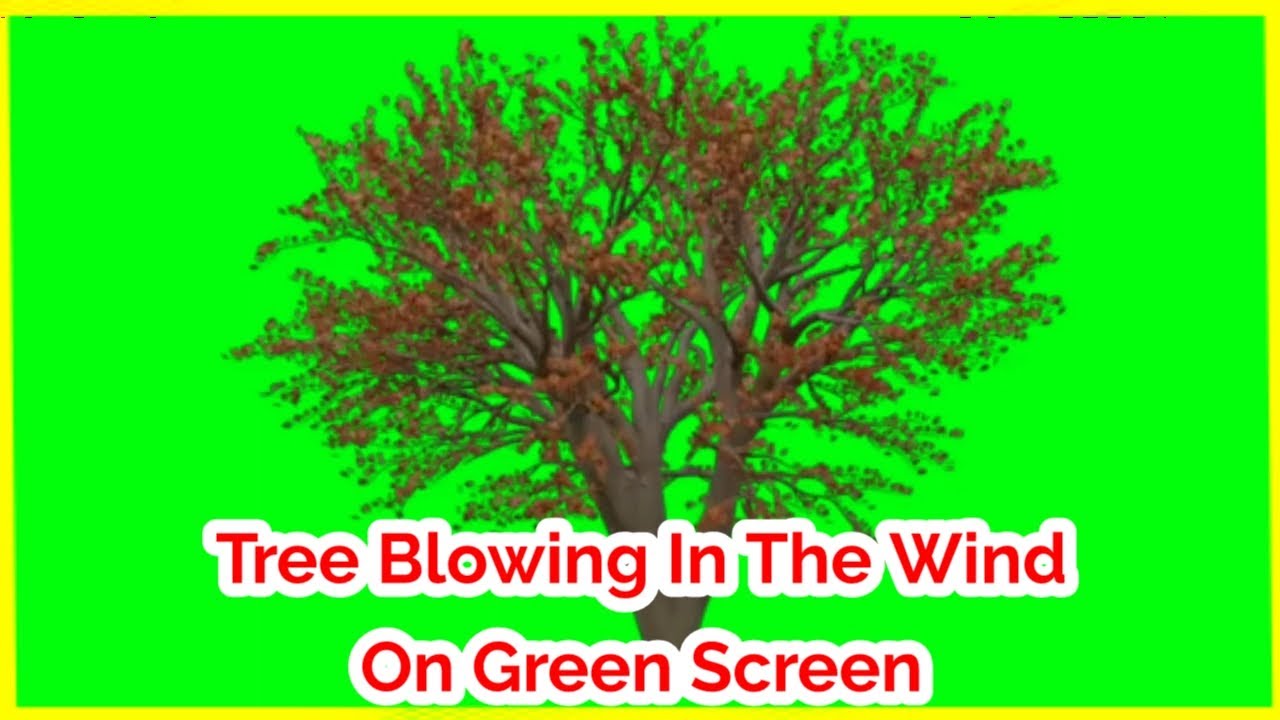 Tree Blowing In The Wind | Tree Blowing On Green Screen | Animation ...