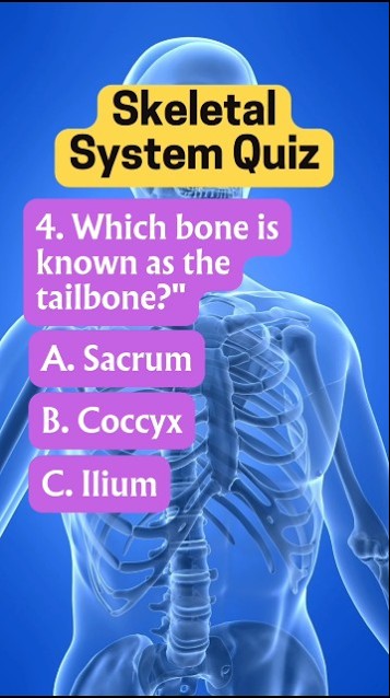 Skeletal System Quiz: Can You Answer These 5 Questions Correctly? - YouTube