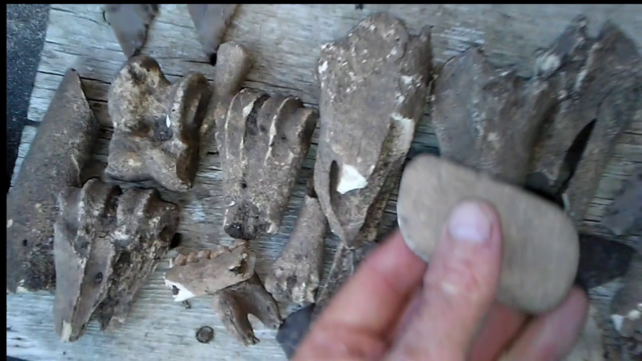 Texas Burn Midden Interesting Finds - YouTube