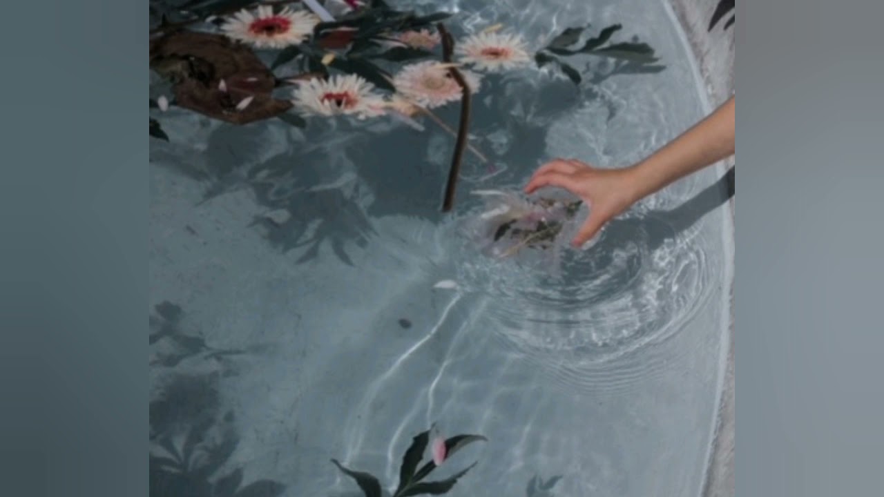 𝚜𝚒𝚐𝚖𝚊 - 𝚏𝚒𝚗𝚍 𝚖𝚎 𝚏𝚝. 𝚋𝚒𝚛𝚍𝚢 (𝚜𝚕𝚘𝚠𝚎𝚍 𝚍𝚘𝚠𝚗) - YouTube