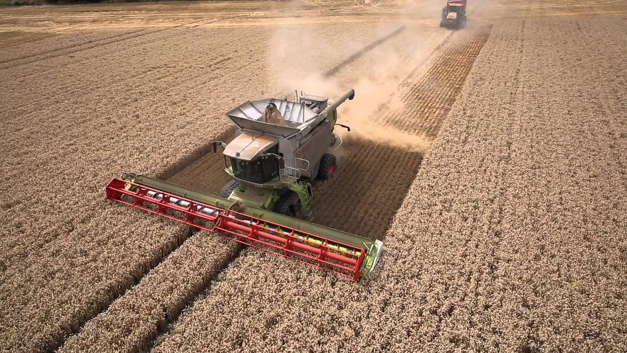 PX Farms Harvest 2015 - YouTube