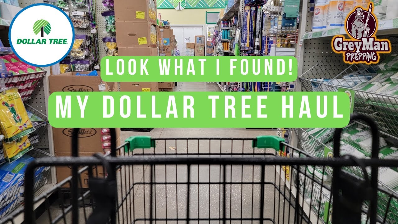 Dollar Tree Haul 2021 | What Did I Get For A $100 | Dollar Tree Finds ...