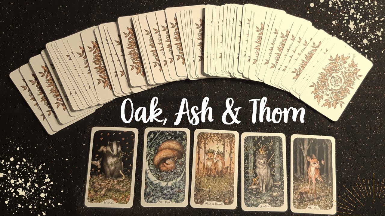 A LA CARTE || Présentation du Tarot Oak, Ash & Thorn - YouTube