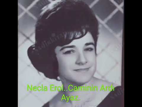 Necla Erol...Caminin Ardı Ayaz..