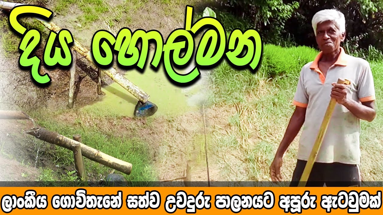 දිය හොල්මන | Diya Holmana (water gost) in Sri Lanka - YouTube