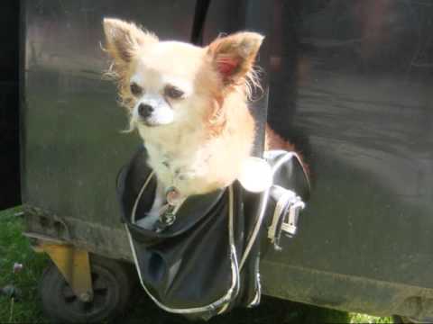 tchico tchicaya --- melkweg 1991 song 1 soukous machine africa music ...