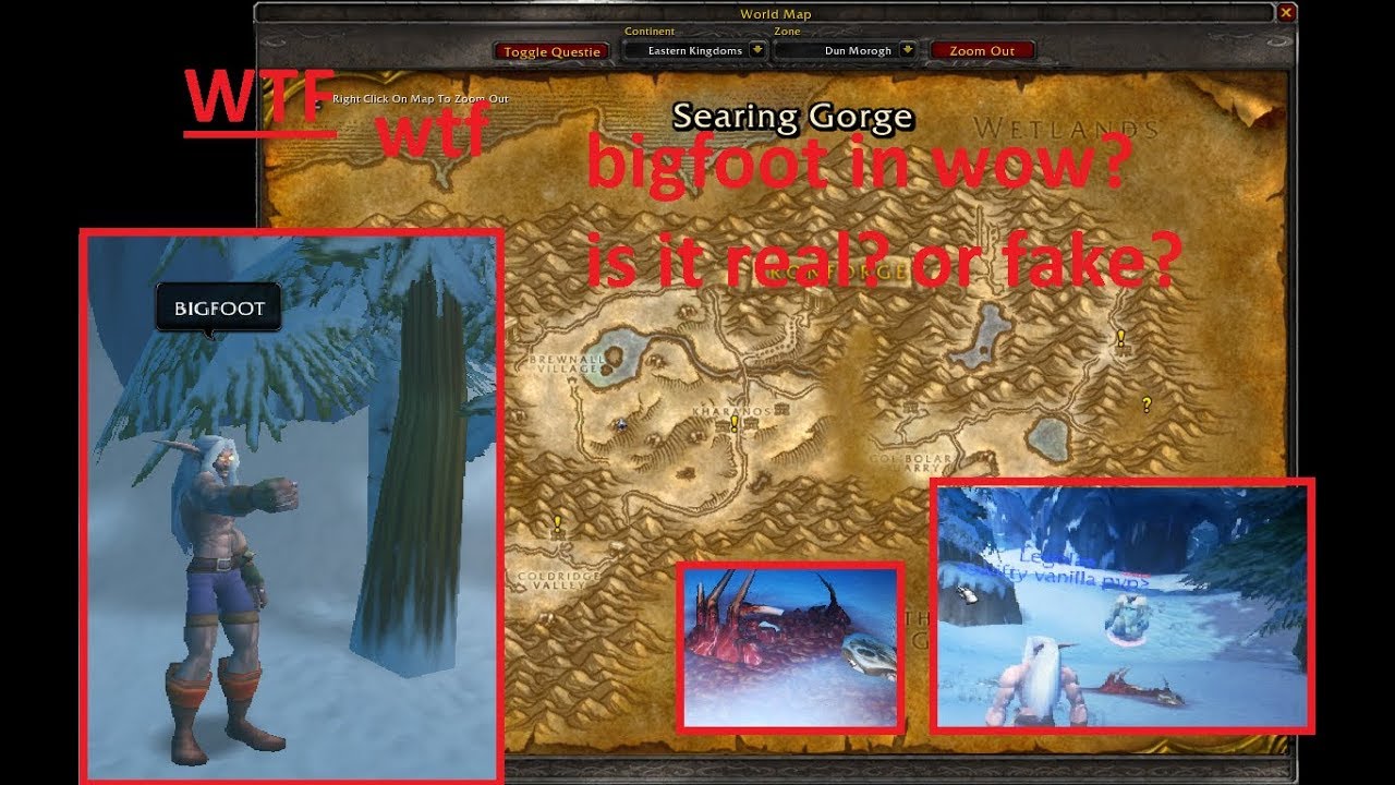 WORLD of WARCRAFT BIGFOOT - myth or REAL? - YouTube