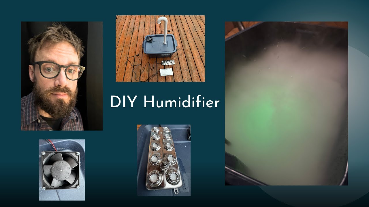 From Mist to Mushrooms: A DIY Guide to Growing Your Own Humidity - YouTube