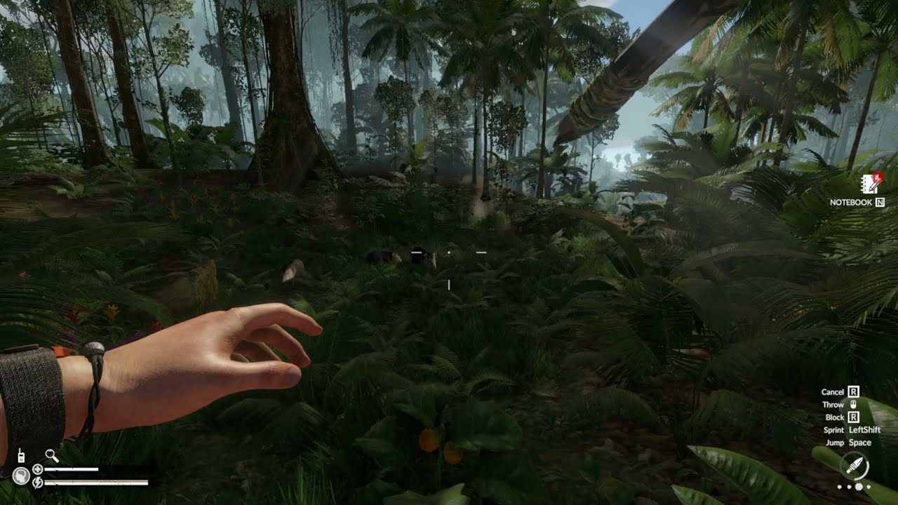 Green Hell EP 2 Getting the base started - YouTube