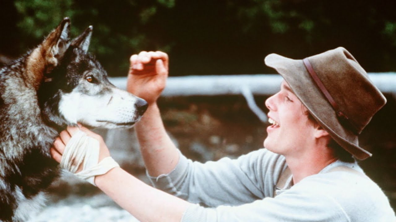 White Fang Full Movie Facts And Review / Klaus Maria Brandauer / Ethan ...